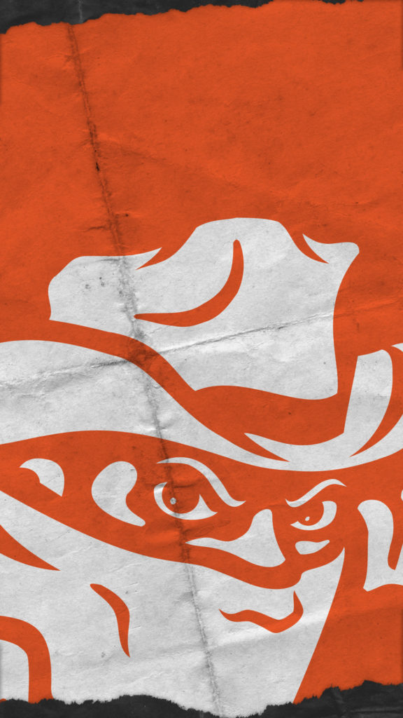 Wallpapers | Buffalo Bandits - bandits.com