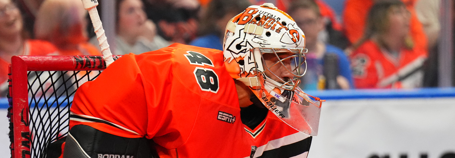 Nll Goalie Salary